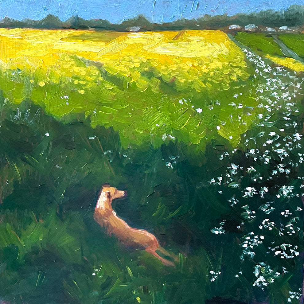 Dog Day – AliceMullenArt